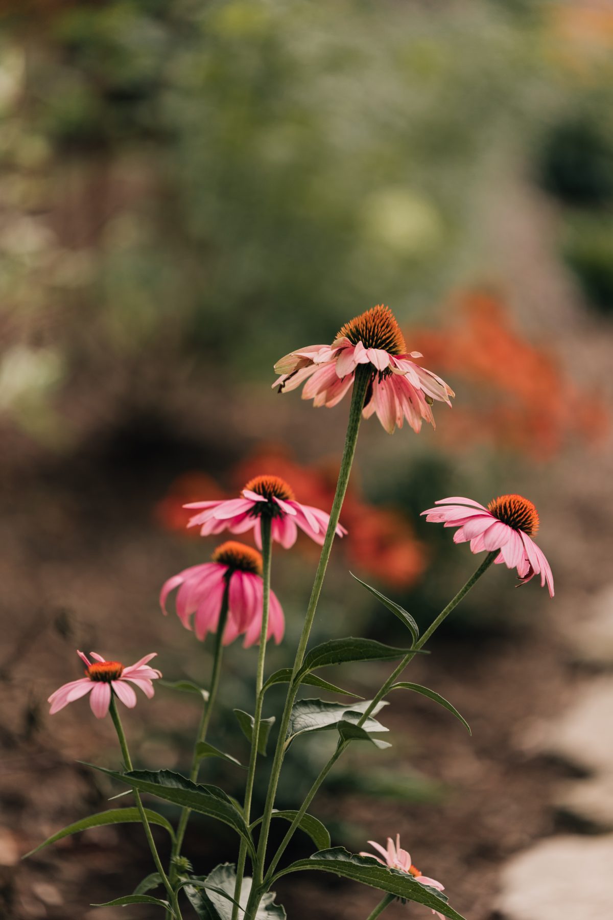 Financial Aid & Costs - Hanover College